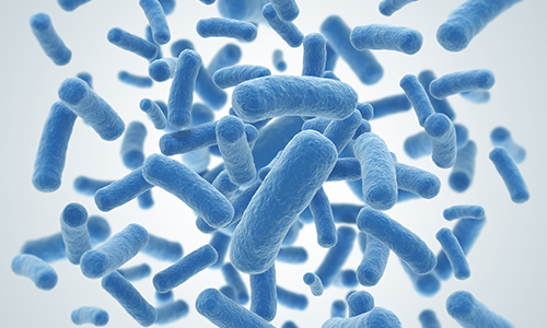 Probiotics có thể giúp ngăn ngừa trầm cảm - Cerebio